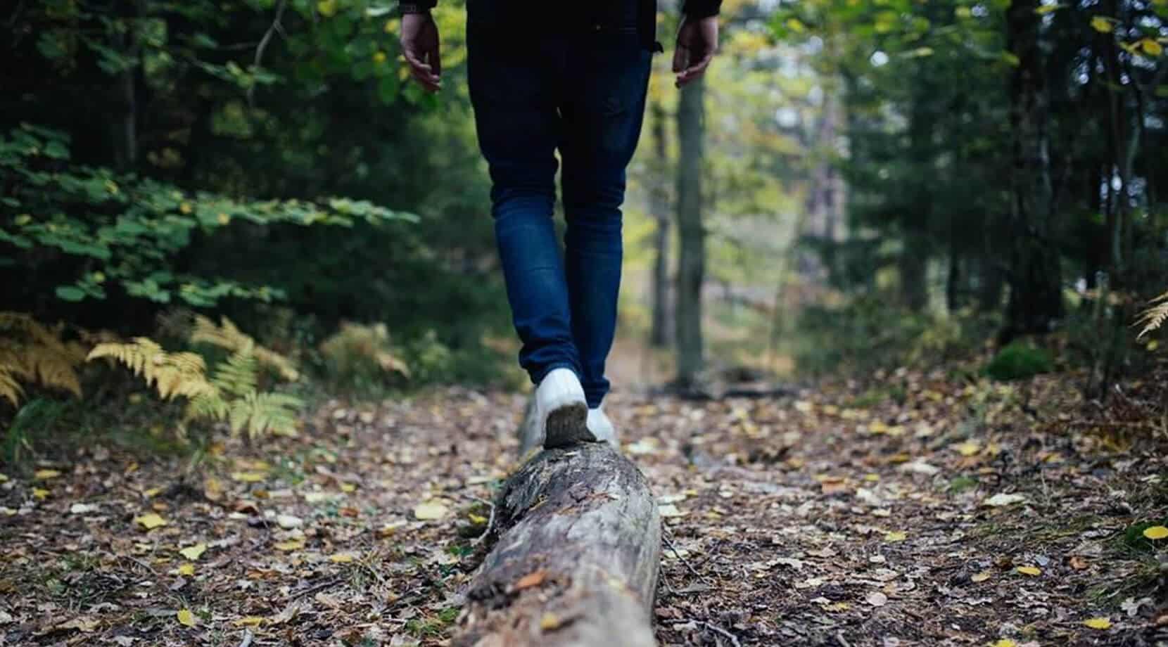 Rando nature - Domaine de la Dombes